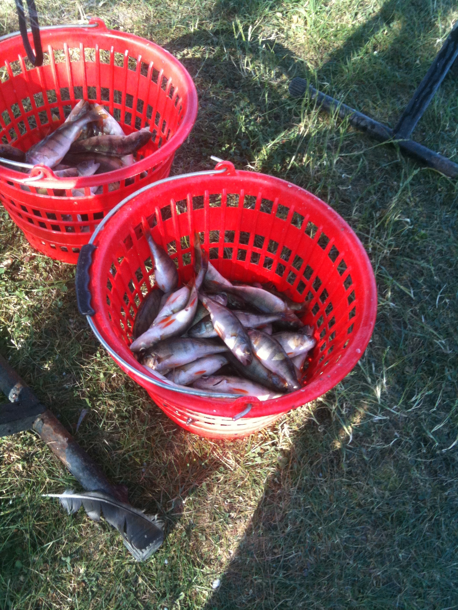 Filets de Pêrches - Salt and Caramel